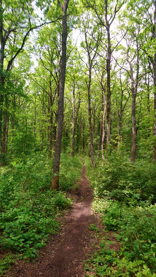 Visit Monti Dauni - Geotrekking: alla scoperta di Monte Sambuco