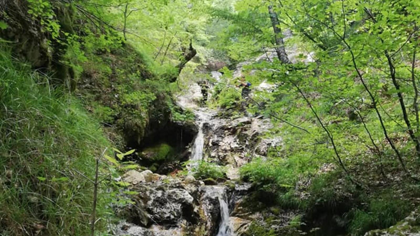 Visit Monti Dauni - Geotrekking: alla scoperta di Monte Sambuco