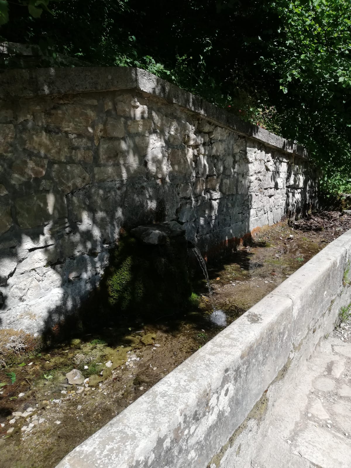 Visit Monti Dauni - Geotrekking: alla scoperta di Monte Sambuco